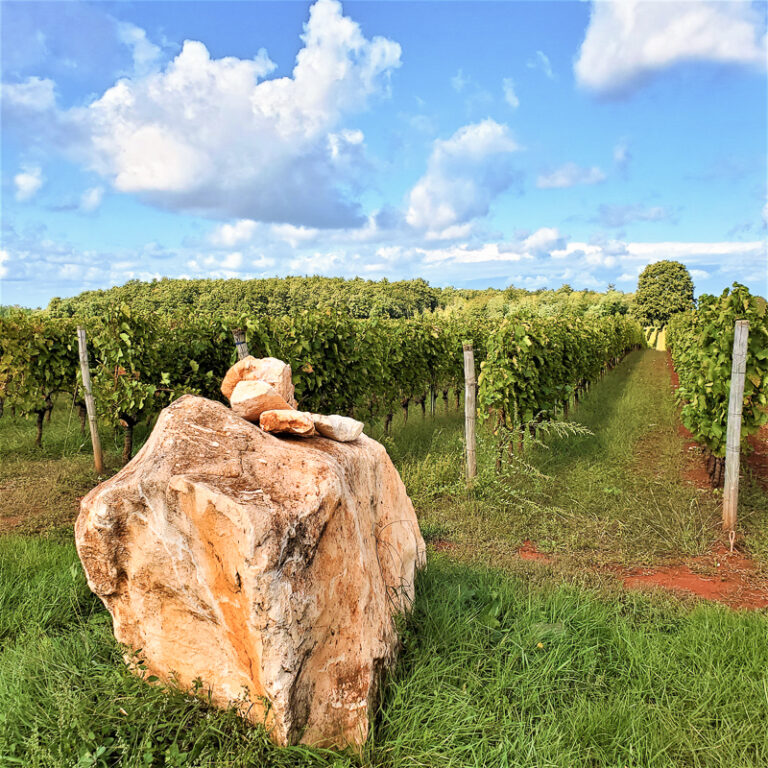 Crushing on Croatia: the wines, regions and grape varieties ...
