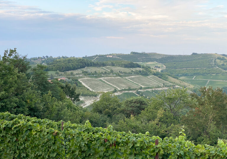 Visiting Gaja, one of Piedmont’s top producers, and seeing the new Alta ...