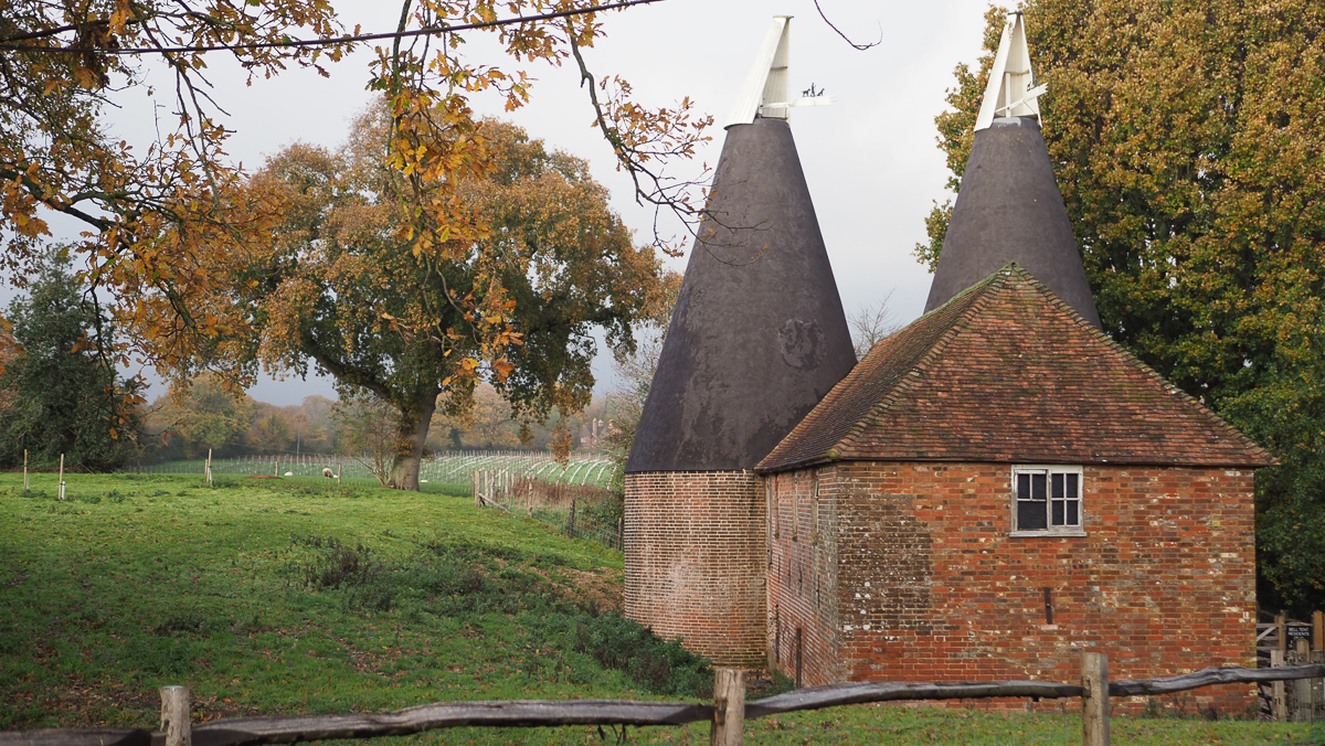 New releases from Tillingham, one of the UK’s most interesting wineries ...
