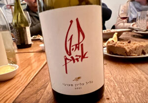 The wines of Israel: a study in 44 wines – wineanorak.com
