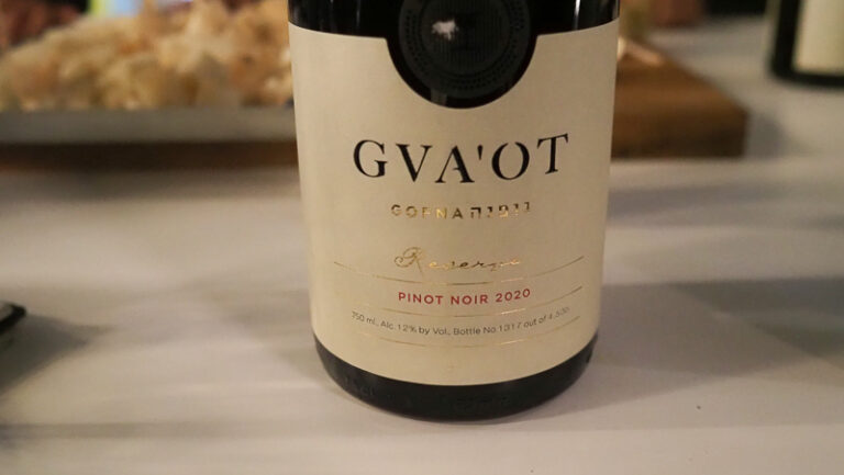 The wines of Israel: a study in 44 wines – wineanorak.com