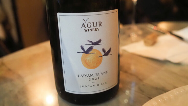 The wines of Israel: a study in 44 wines – wineanorak.com