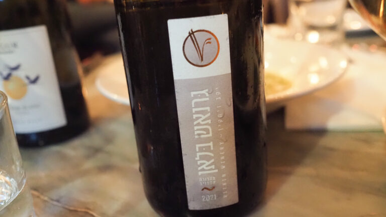 The wines of Israel: a study in 44 wines – wineanorak.com