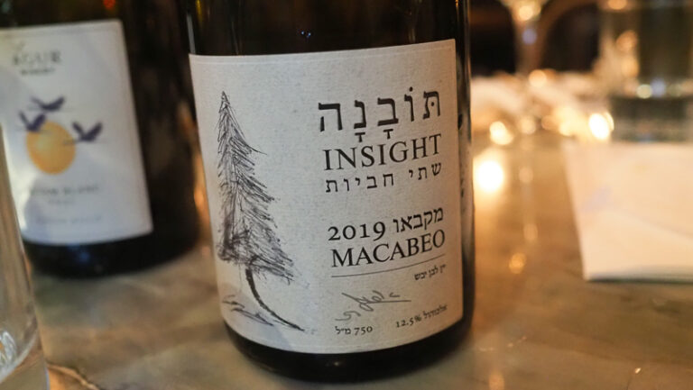The wines of Israel: a study in 44 wines – wineanorak.com
