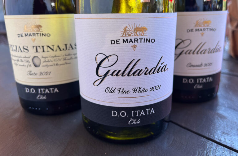 Dry-grown Chile: exploring Itata, a historic region whose time has now ...