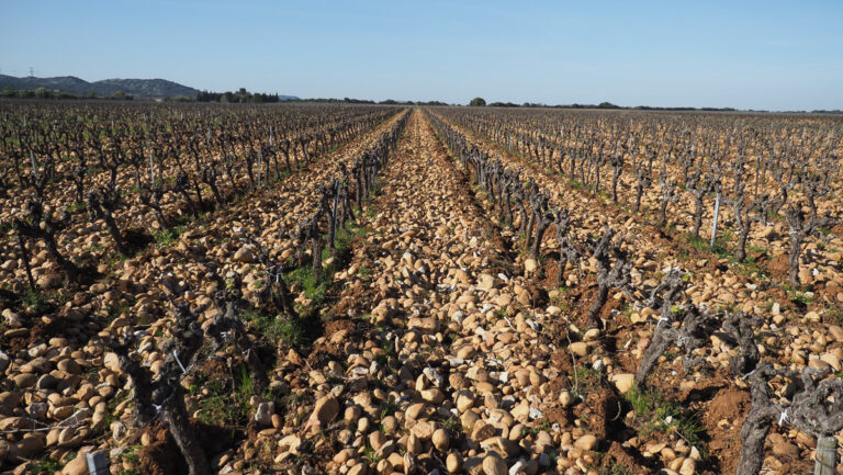 Exploring Lirac (7) an overview and a big tasting of Lirac wines ...