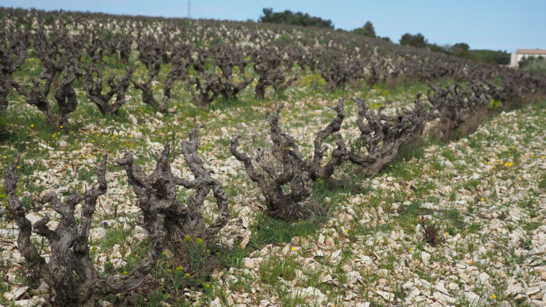 Exploring Lirac (7) an overview and a big tasting of Lirac wines ...