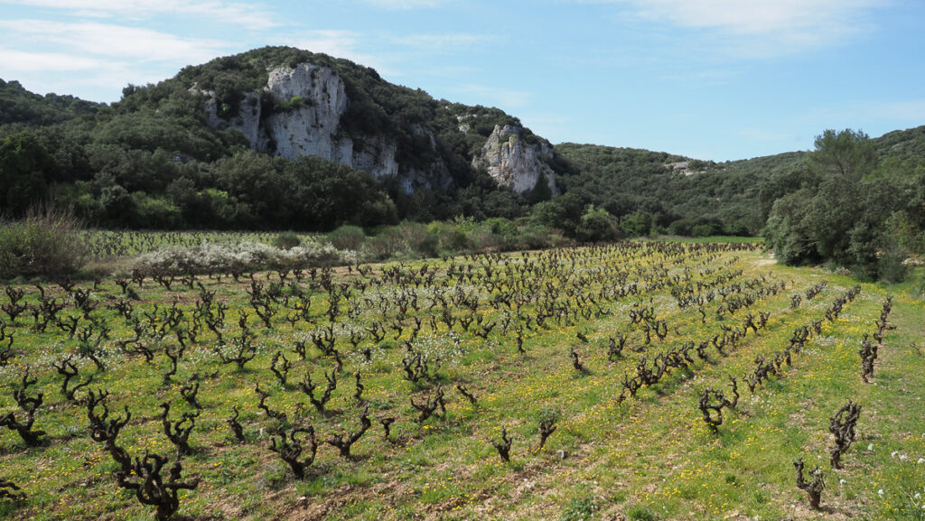 Exploring Lirac (7) an overview and a big tasting of Lirac wines ...