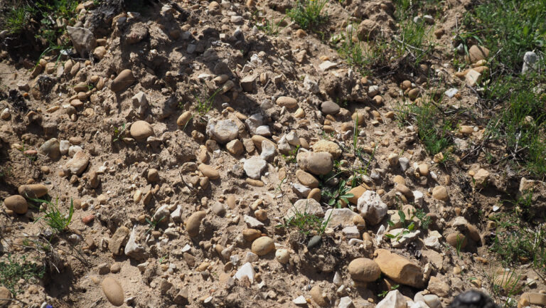 Exploring Lirac (7) an overview and a big tasting of Lirac wines ...