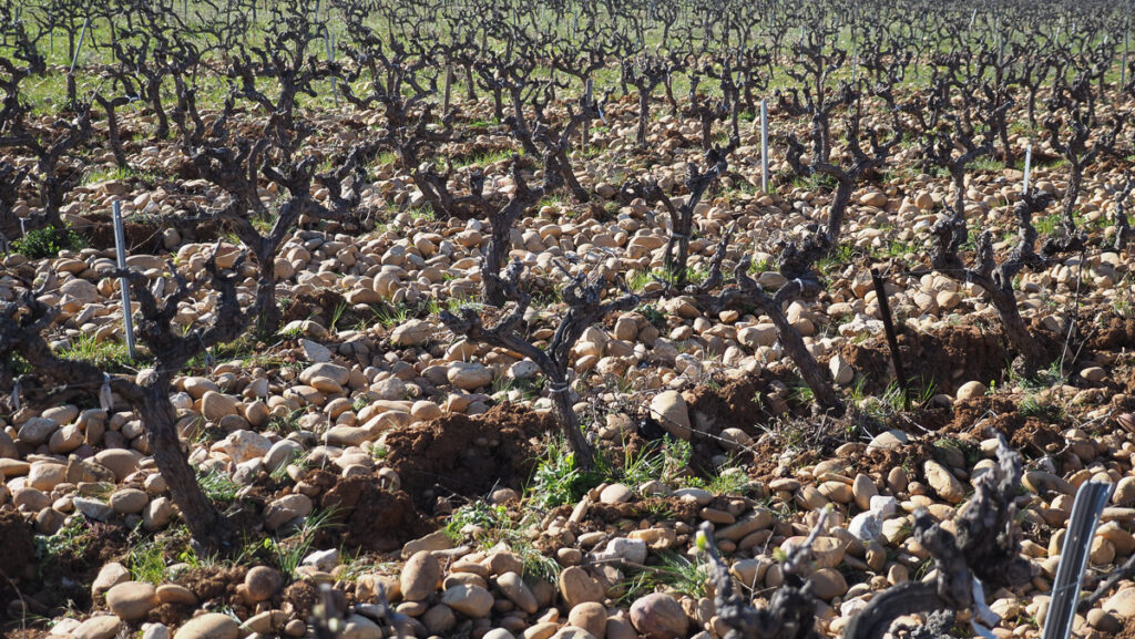 Exploring Lirac (7) an overview and a big tasting of Lirac wines ...