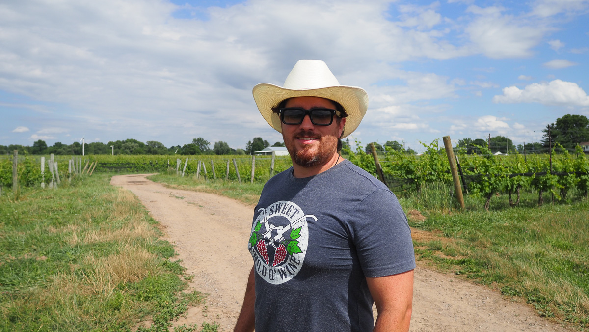 In Niagara (12) Stratus, an important Niagara winery, in a fine-tuning ...