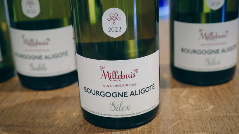 Aligoté: how a lesser-known variety from Bourgogne is suddenly hitting ...