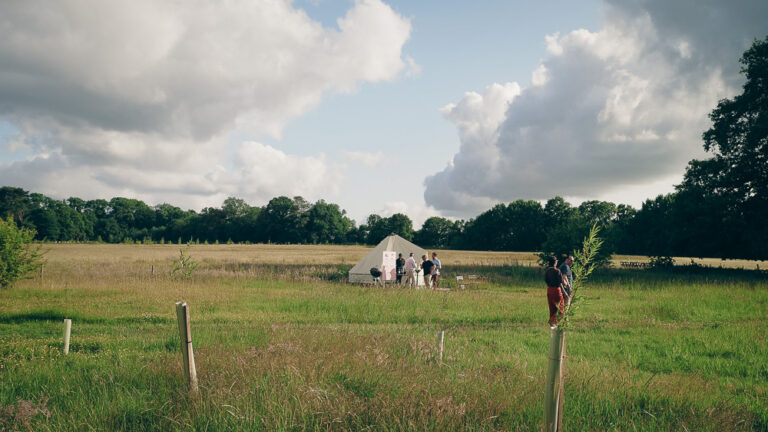 Zinfandel: California’s own grape, tasting 59 top examples – wineanorak.com